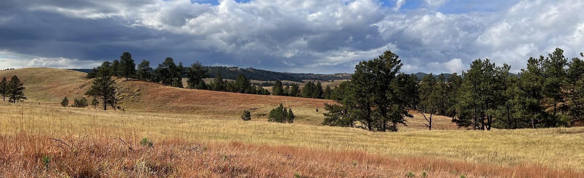 East Bison Flats Trail: 50 Reviews, Map - South Dakota | AllTrails