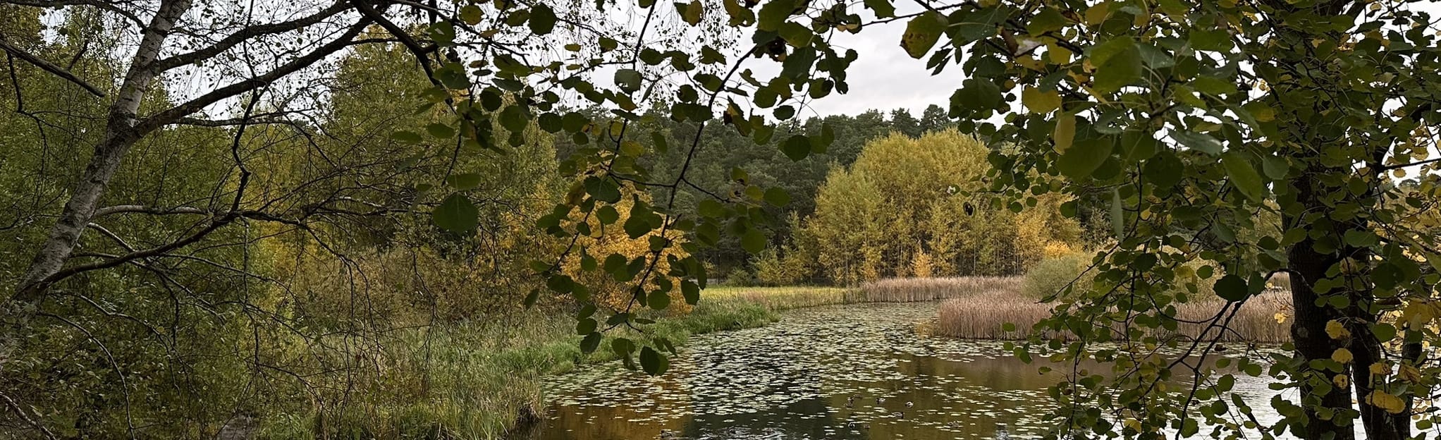 Blackeberg - Hässelby strand: 12 Reviews, Map - Stockholm, Sweden ...
