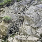 Chessie Nature Trail, Virginia - 338 Reviews, Map | AllTrails