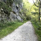 Chessie Nature Trail, Virginia - 338 Reviews, Map | AllTrails