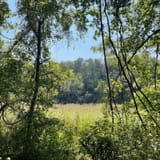 Chessie Nature Trail, Virginia - 338 Reviews, Map | AllTrails