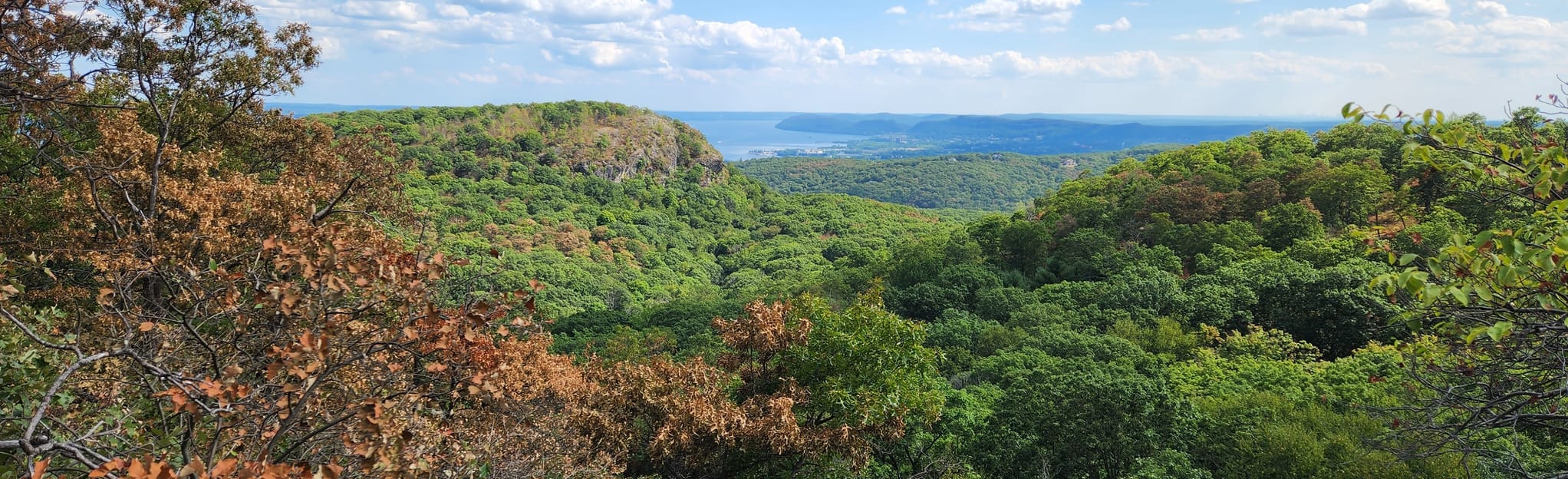 Bald Mountain Loop: 490 Reviews, Map - New York | AllTrails
