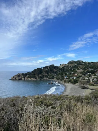 2023 Best 10 Trails and Hikes in Mill Valley | AllTrails