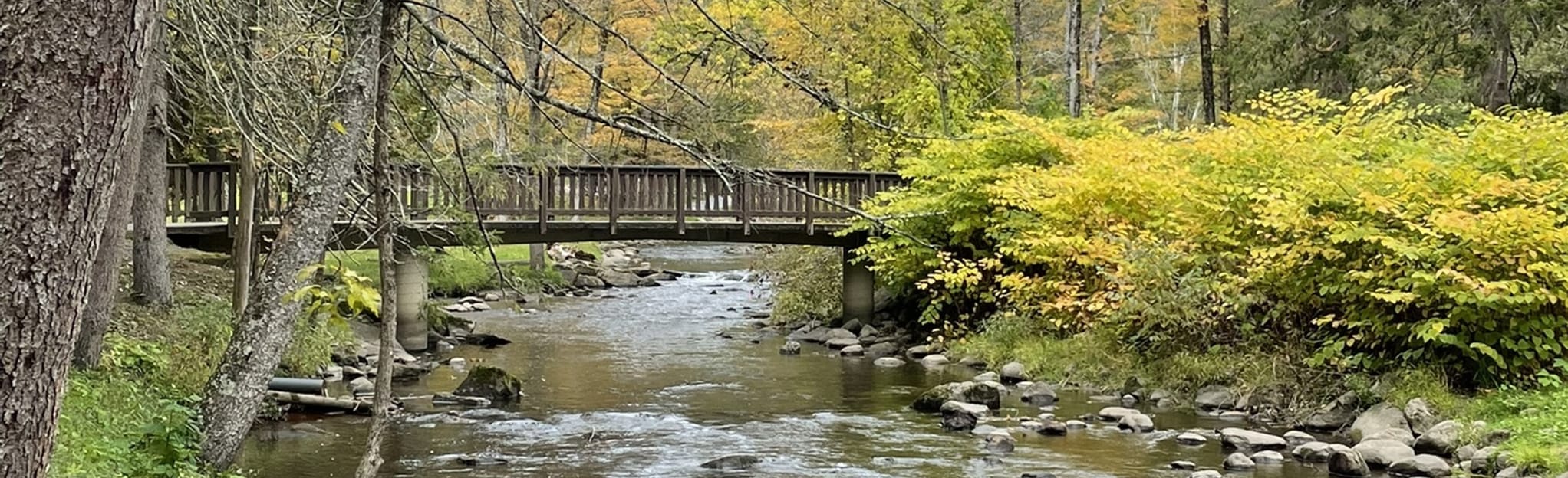 Geyser Loop Trail, New York - 1,759 Reviews, Map | AllTrails