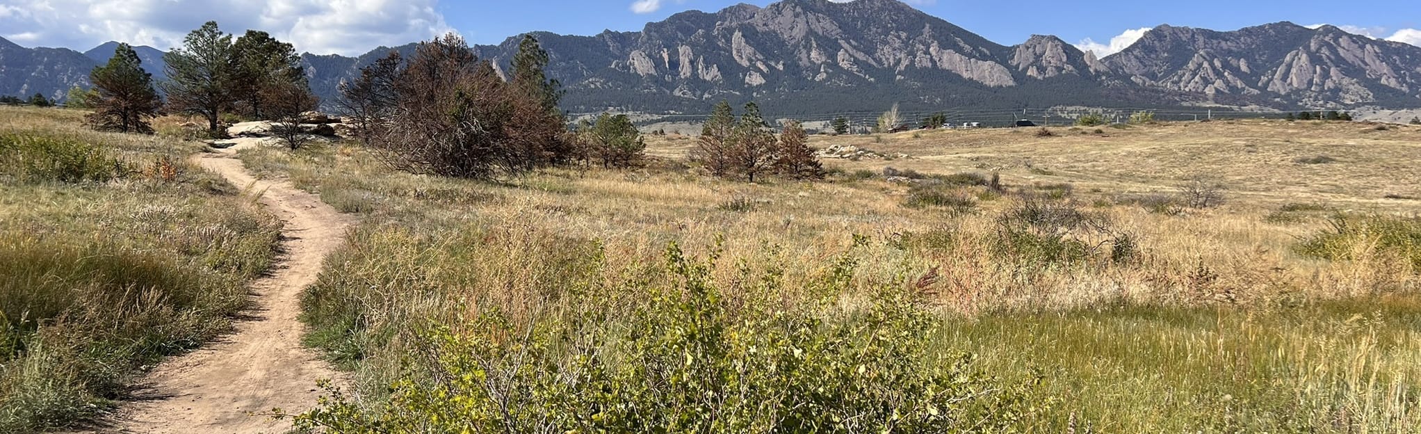Mesa Valley Trail: 74 Reviews, Map - Colorado | AllTrails