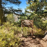 Mores Mountain Loop, Idaho - 415 Reviews, Map | AllTrails