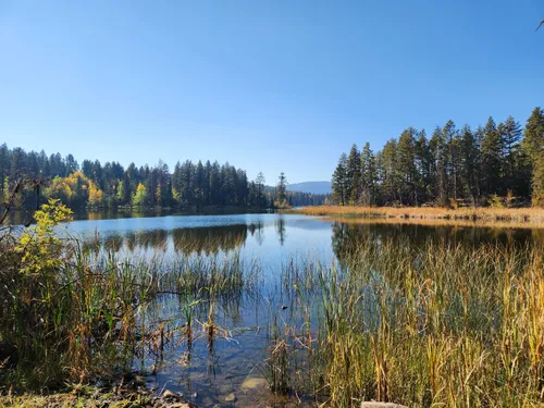 Best Hikes and Trails in Isobel Lake Recreation Site | AllTrails