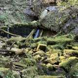 Cave River Valley Trail, Indiana - 204 Reviews, Map | AllTrails