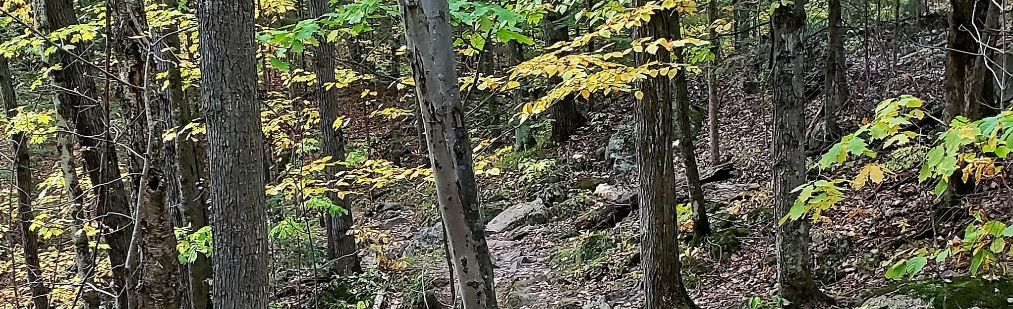 Quartz Hill Trail: 52 Reviews, Map - Wisconsin | AllTrails