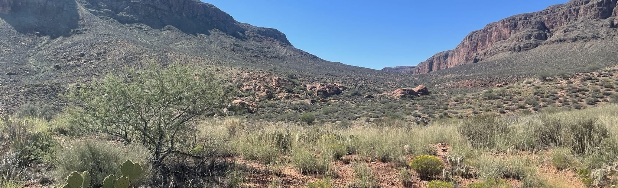 Thunder River Trail from Indian Hollow Parking Area, Arizona - 15 Reviews, Map | AllTrails