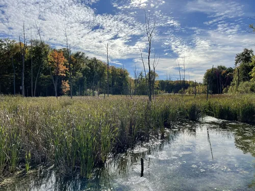10 Best Trails and Hikes in Montreal | AllTrails