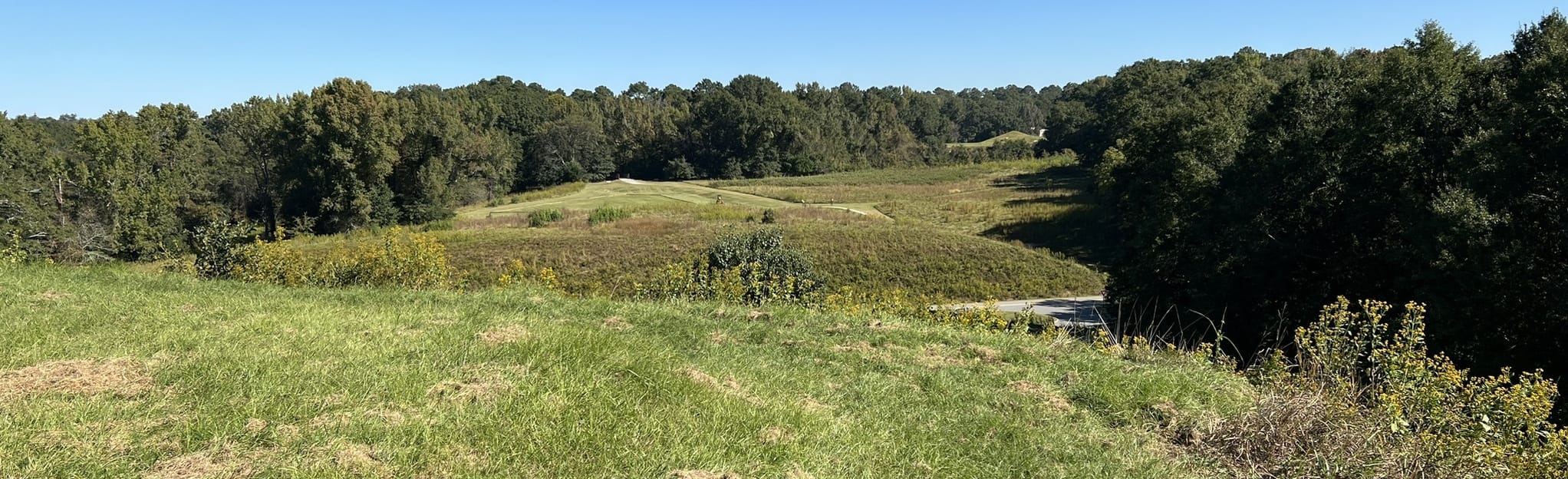 Great Temple Mound, Georgia - 12 Reviews, Map | AllTrails