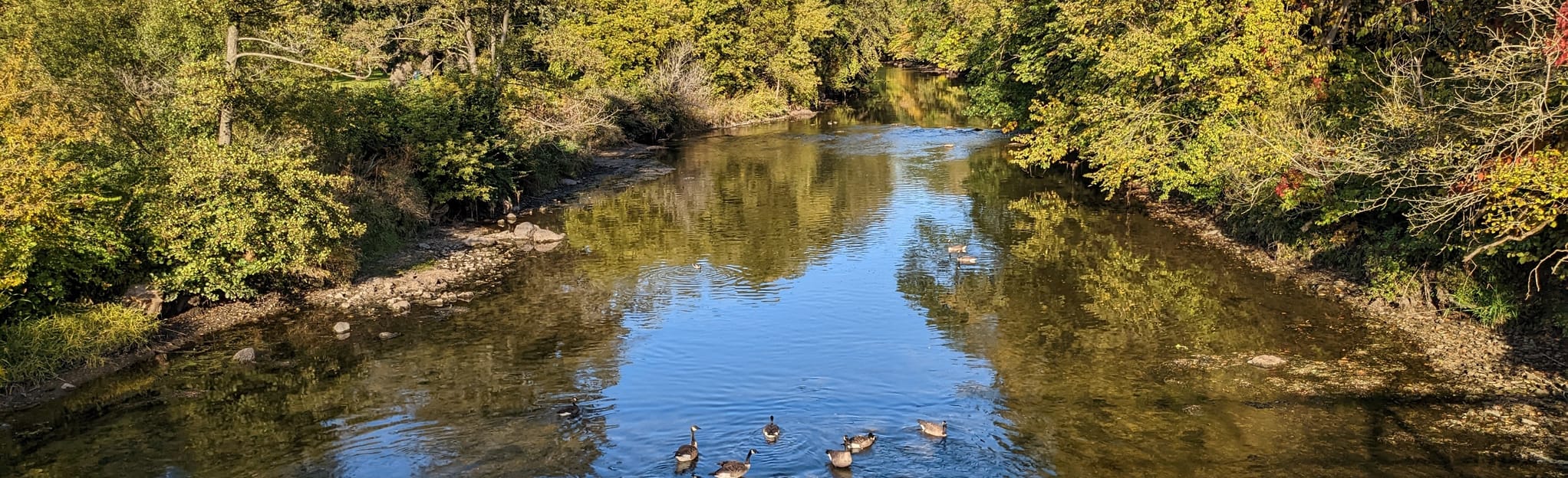 Knoch Knolls Park Trail, Illinois - 774 Reviews, Map | AllTrails