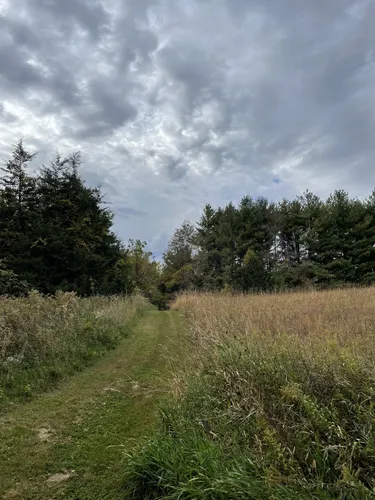 10 Best Trails and Hikes in Decorah | AllTrails