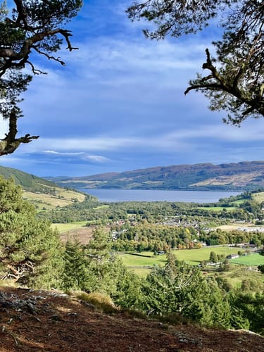 Best Hikes and Trails in Craigphadrig Forest | AllTrails