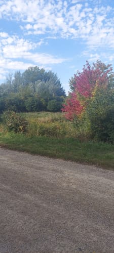 Best Hikes and Trails in Steve Michaud Park | AllTrails