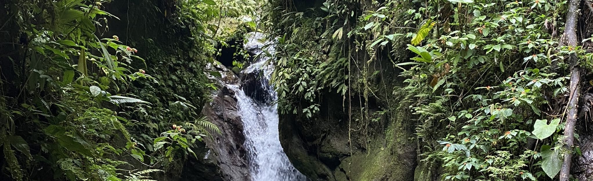 Tarabita and Mindo Waterfall Sanctuary: 62 fotos - Pichincha, Equador ...