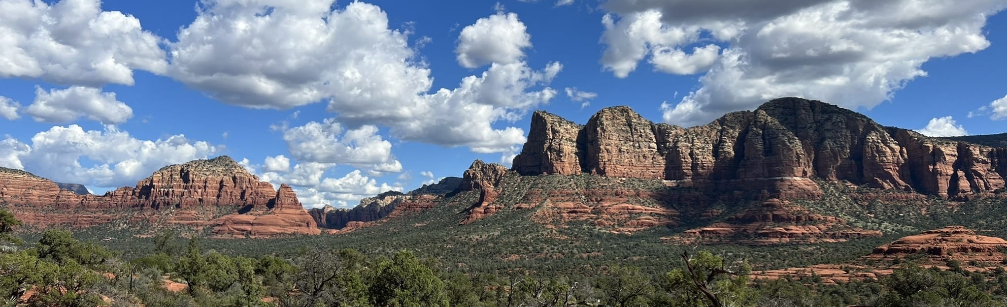 Coconino Trail #172B: 132 Reviews, Map - Arizona | AllTrails