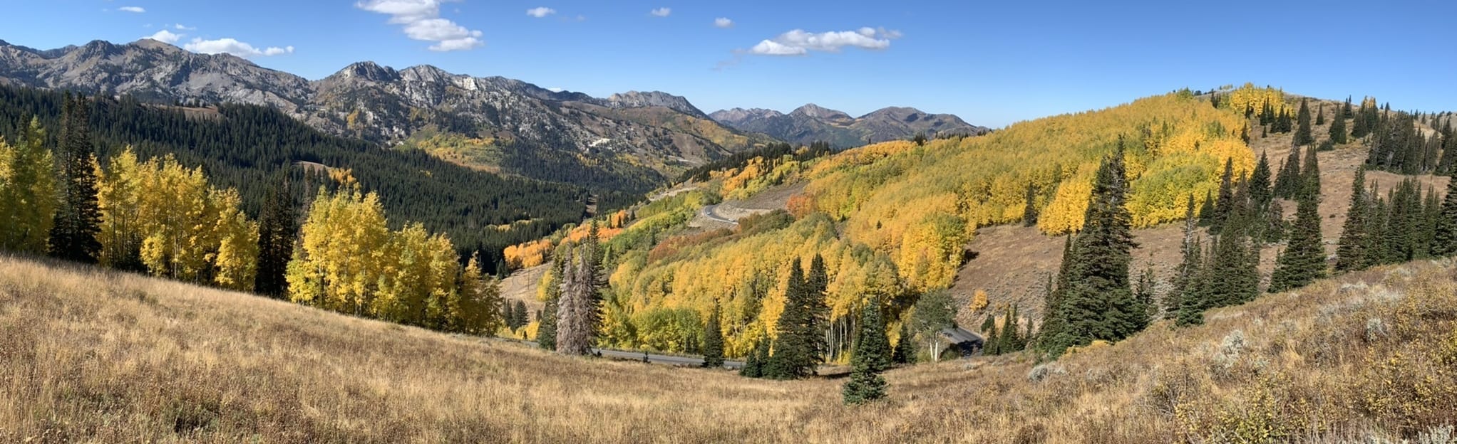 Wasatch Crest Trail: 270 Reviews, Map - Utah | AllTrails