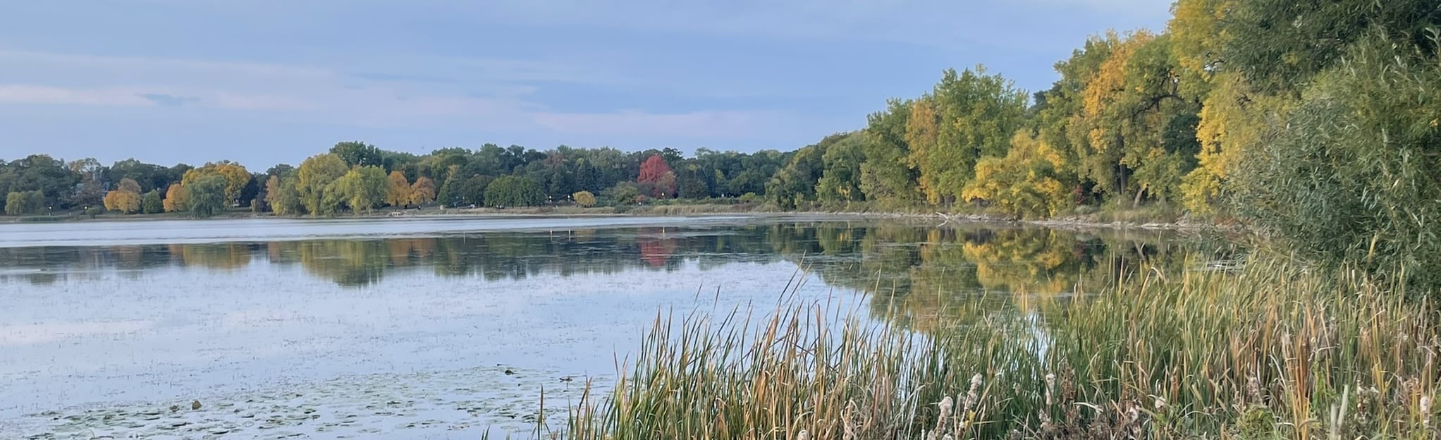 Bruce Vento and Gateway Trails : 46 Reviews, Map - Minnesota | AllTrails