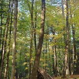 Sunset Rock, Vermont - 312 Reviews, Map | AllTrails