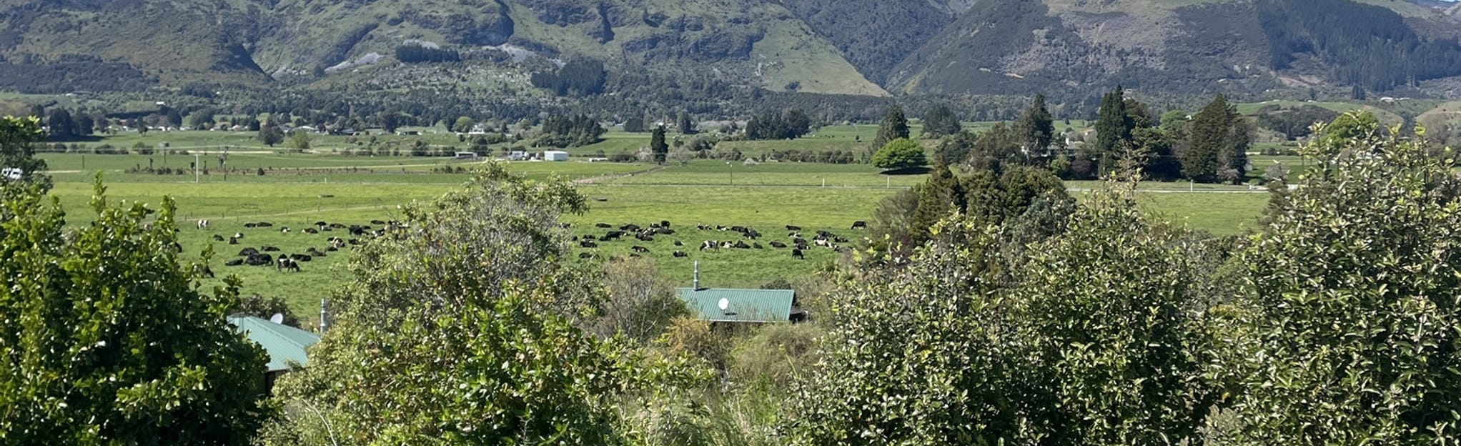 Labyrinth Rocks Park Walk, Nelson-Tasman, New Zealand - 32 Reviews, Map ...