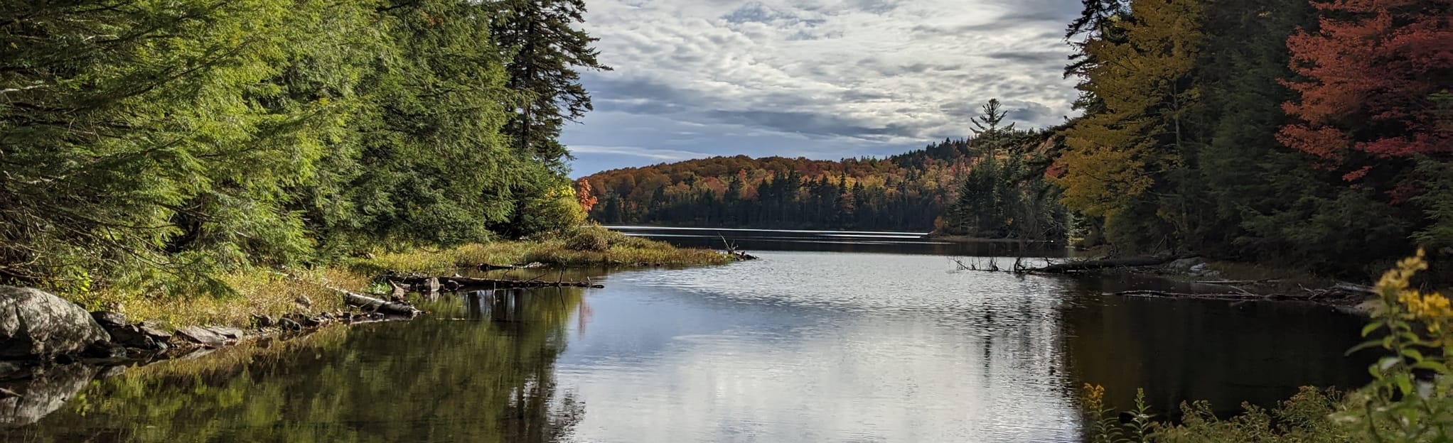 Long Trail: Big Branch to Clarendon Gorge , Vermont - 26 Reviews, Map ...
