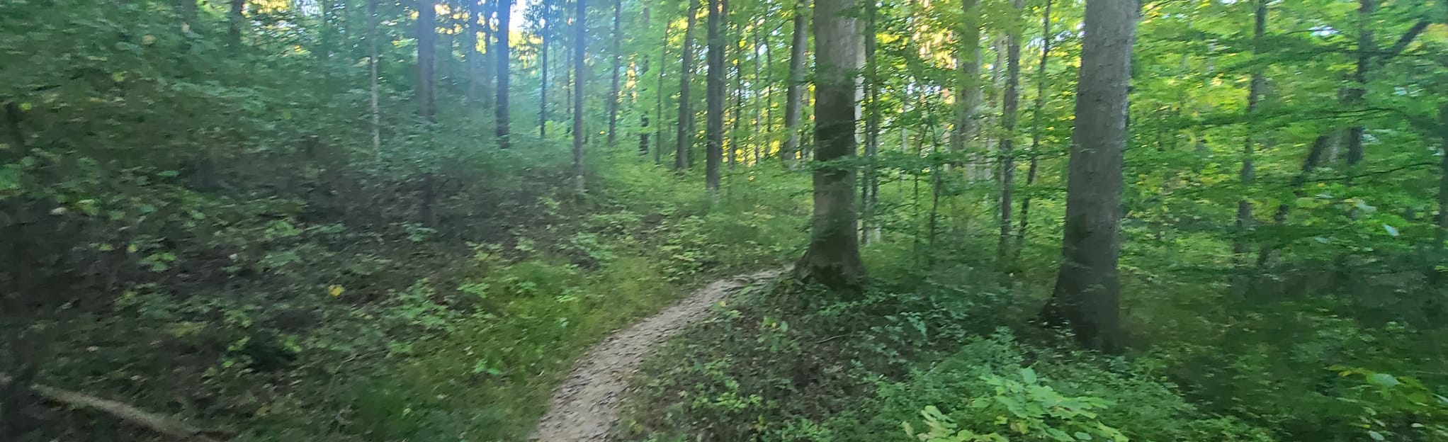 Morgan Monroe Hike Bike Trail: 75 Reviews, Map - Indiana | AllTrails