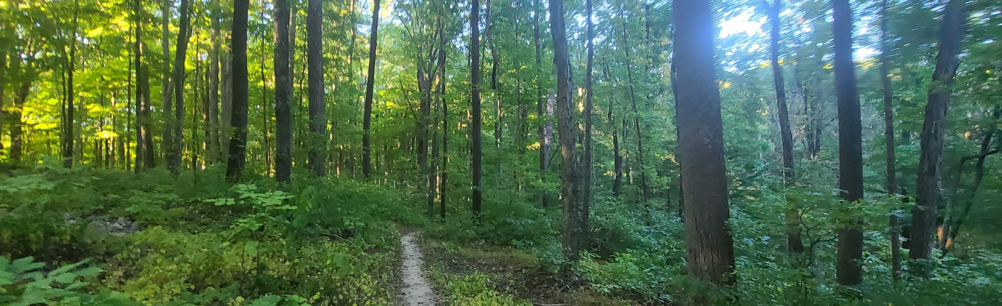 Mason Ridge Trail, Indiana - 417 Reviews, Map | AllTrails