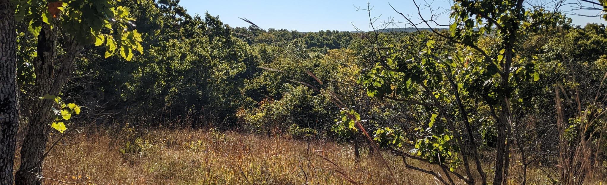 Oak Ridge Trail, Missouri - 158 Reviews, Map | AllTrails