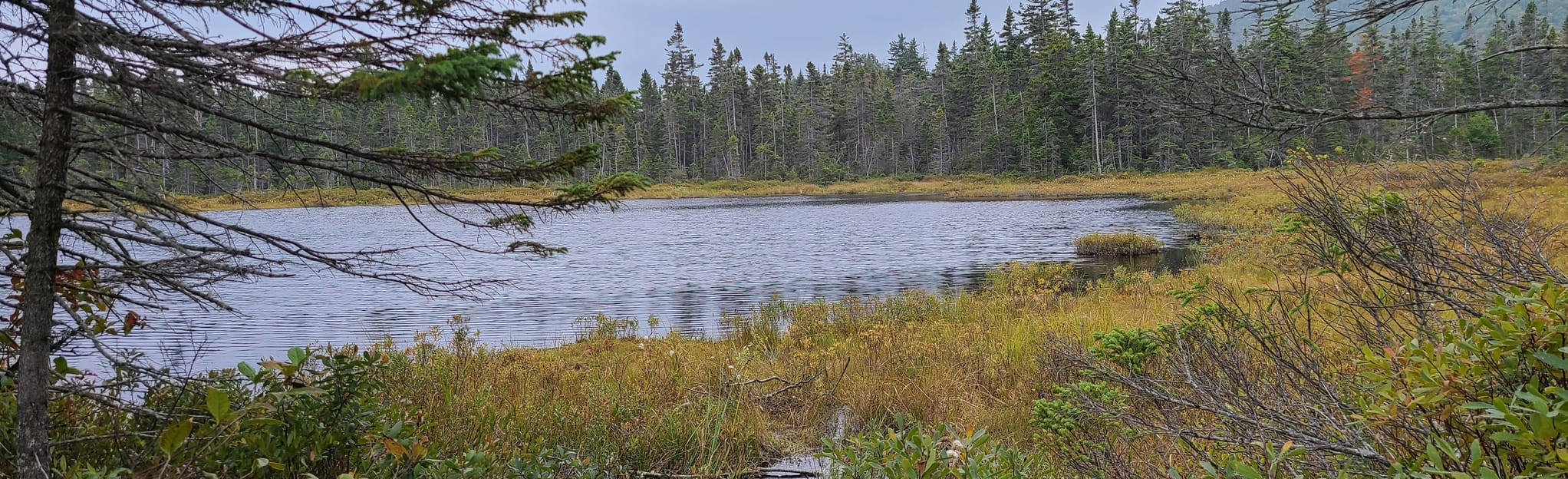 Rogers Ledge via Unknown Pond and Kilkenny Ridge, New Hampshire - 13 ...
