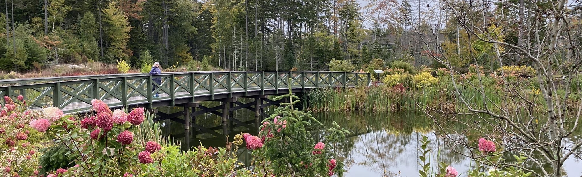 Coastal Maine Botanical Gardens Loop, Maine - 173 Reviews, Map | AllTrails