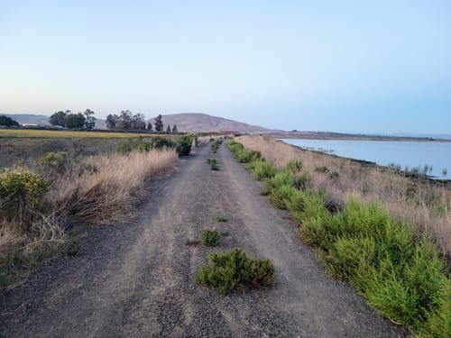 Best Hikes and Trails in San Pablo Bay National Wildlife Refuge | AllTrails