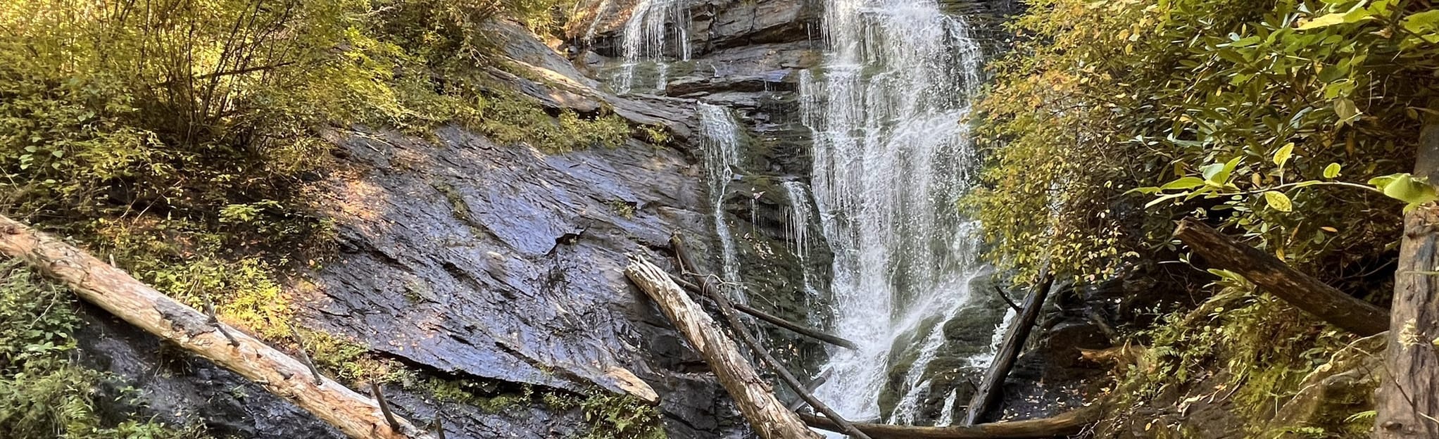 King Creek Falls Trail sumter - South Carolina | AllTrails