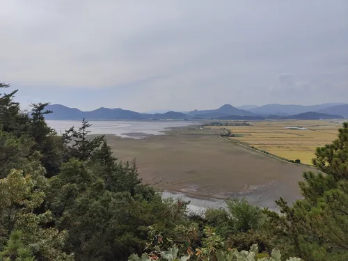 Best Hikes and Trails in Suncheon Bay Nature Reserve | AllTrails