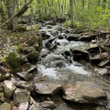 Shamokin Nature Trail, Virginia - 99 Reviews, Map | AllTrails