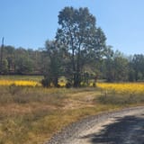 Camp Robinson Wildlife Loop, Arkansas - 36 Reviews, Map | AllTrails