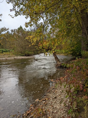 Best Trails in Buckaloons Recreation Area | AllTrails