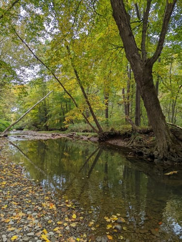 Best Trails in Buckaloons Recreation Area | AllTrails