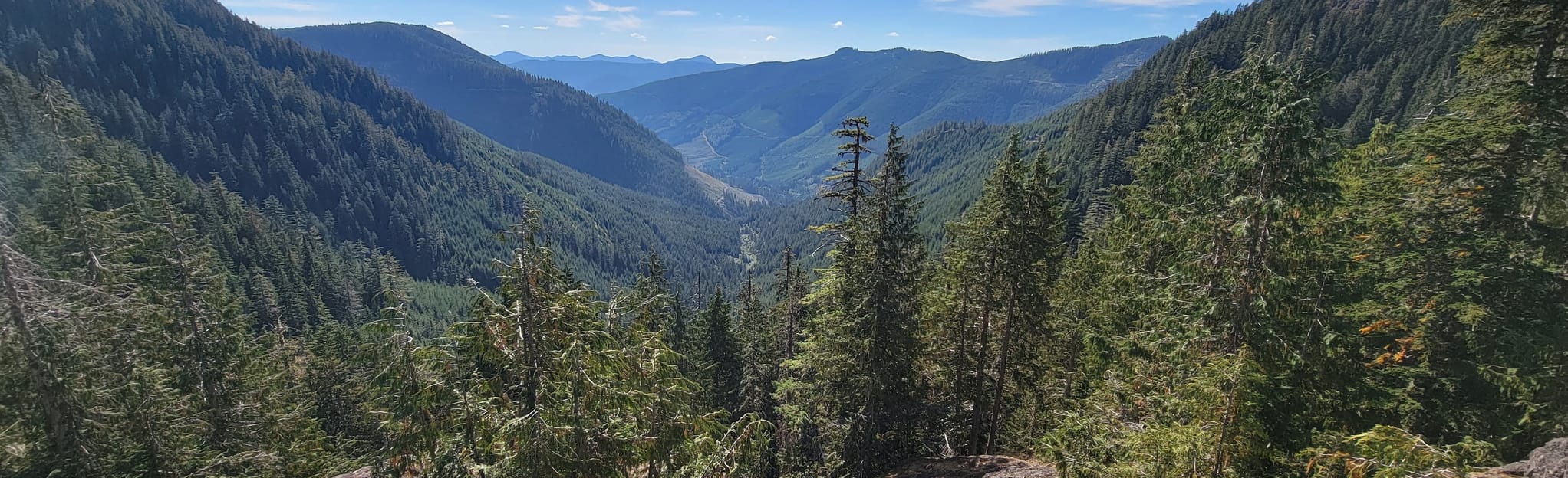 Landale loop: 20 Reviews, Map - British Columbia, Canada | AllTrails