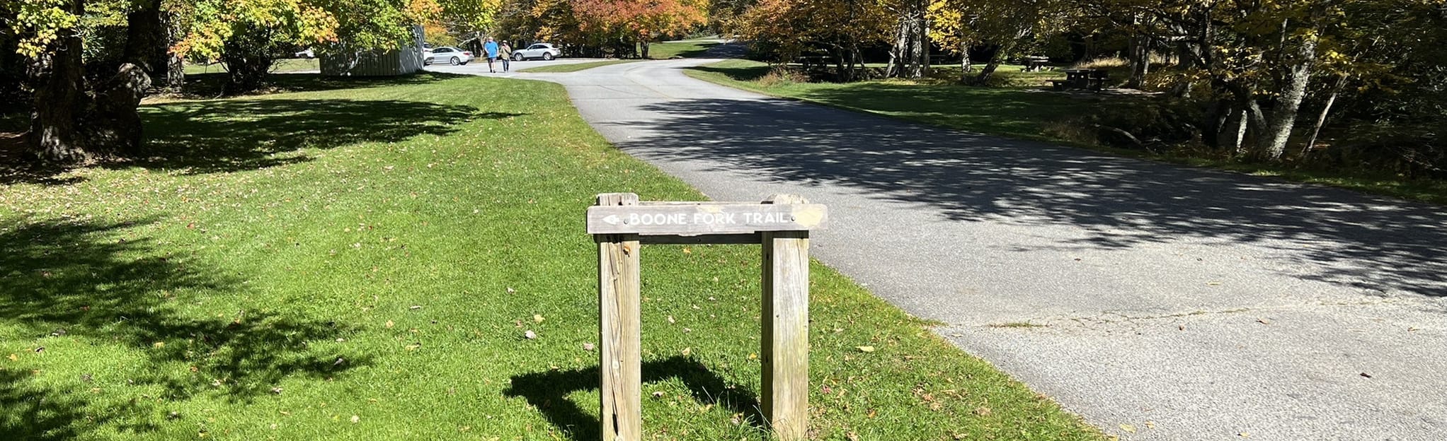 Boone TRACK Trail: 50 Reviews, Map - North Carolina | AllTrails