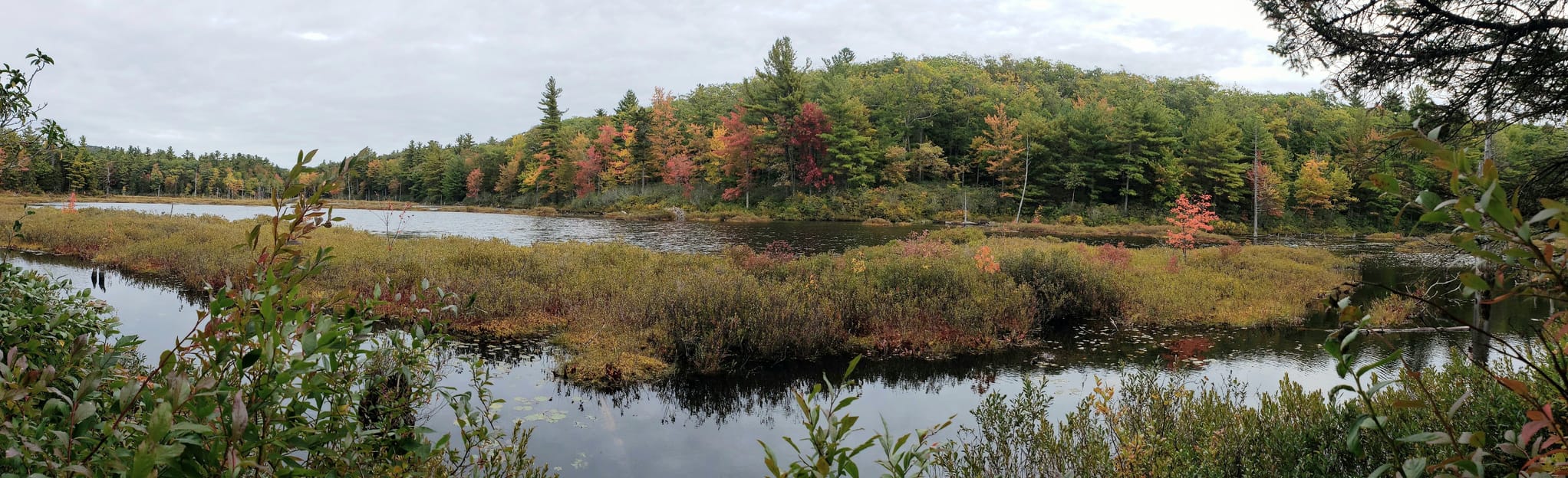 Mount Watatic to Barrett Mountain via Wapack Trail: 155 Reviews, Map ...