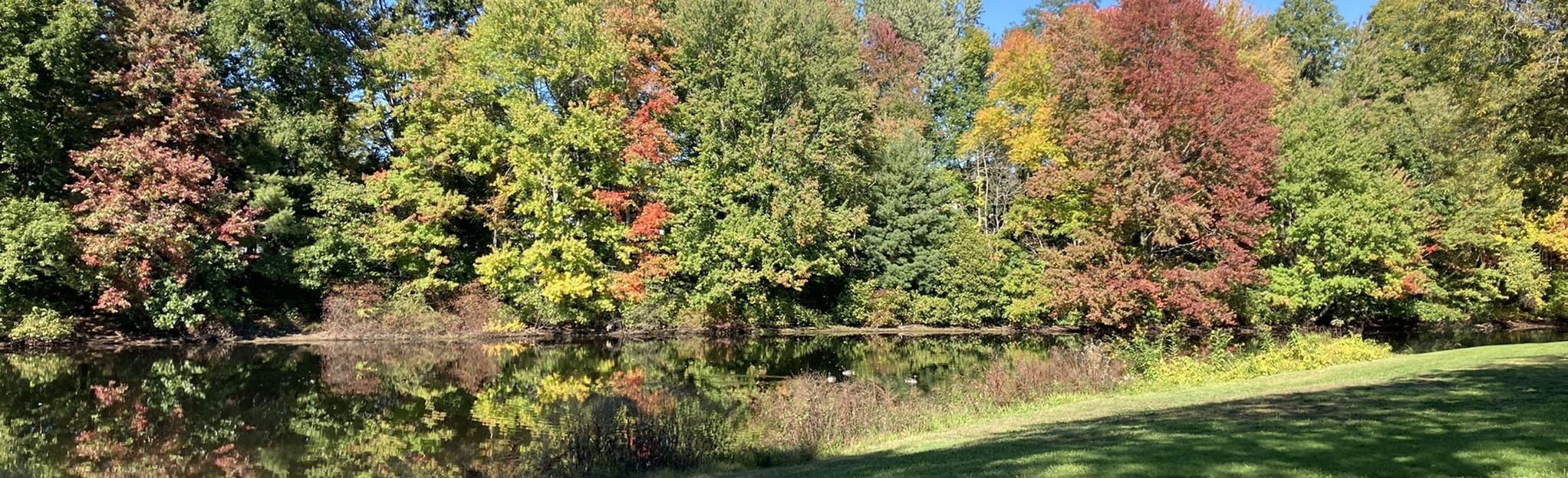 AllTrails | Salter's Pond Loop Trail: 35 Reviews, Map - Connecticut