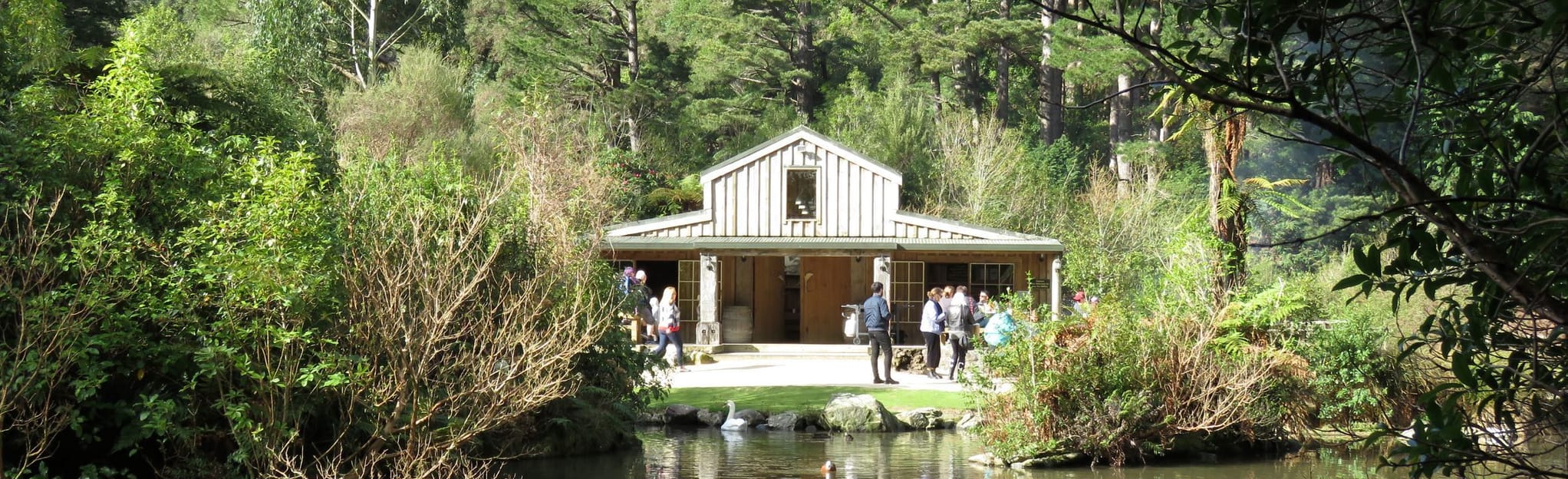 Staglands Wildlife Reserve Walk: 1 Reviews, Map - Wellington, New ...