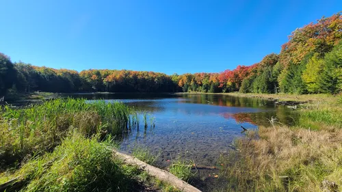 10 Best Hikes and Trails in Mono Cliffs Provincial Park | AllTrails