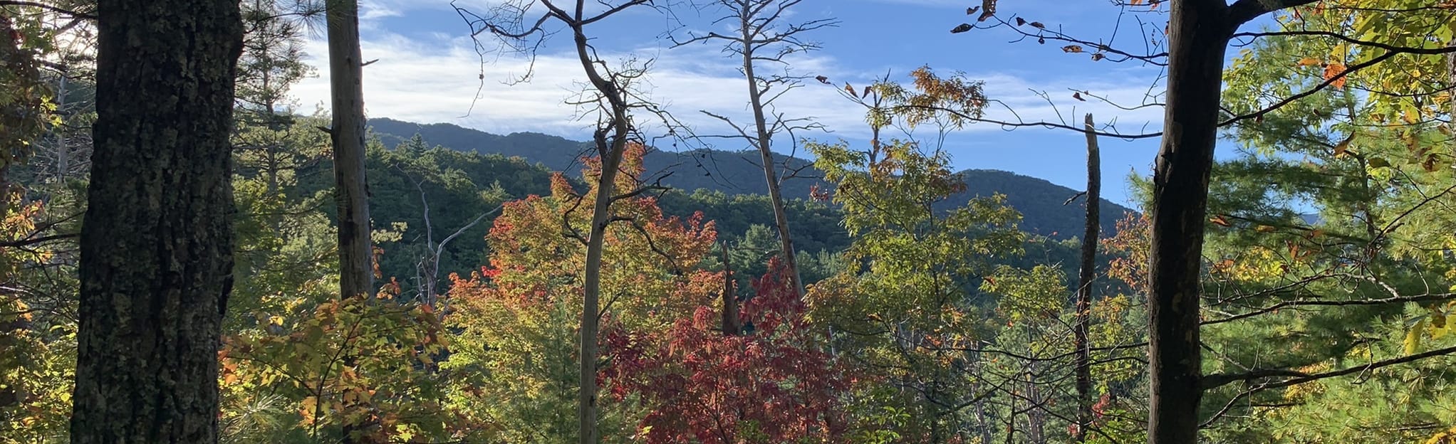 Walker Sisters Home via Little Greenbrier Trail | Map, Guide ...