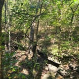 Oak Ridge Trail, Missouri - 180 Reviews, Map | AllTrails