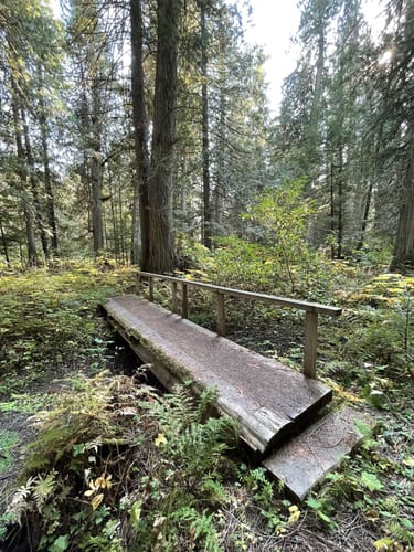 Best Hikes and Trails in Goat Range Provincial Park | AllTrails