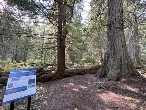 Best Hikes and Trails in Goat Range Provincial Park | AllTrails