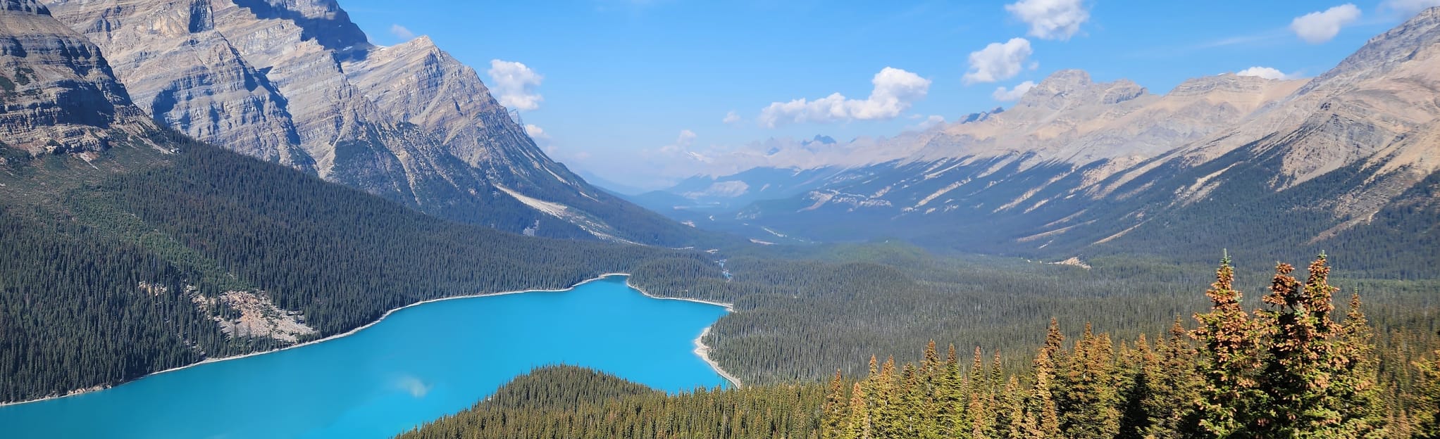 Bow Summit Viewpoint, Alberta, Canada - 711 Reviews, Map | AllTrails